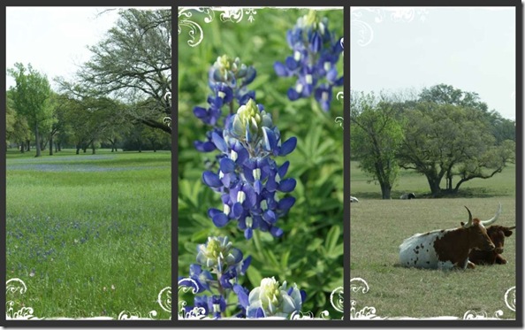 My Heart's Ease: Finally I Can Tell You About Round Top Antique Festival!